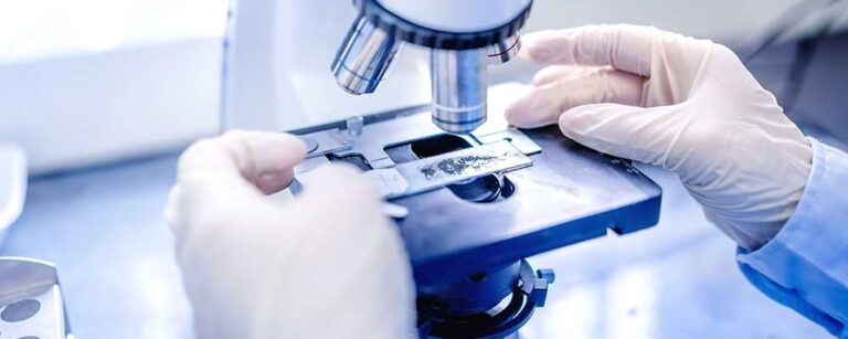 Contact Us - Prime Pharmaceuticals